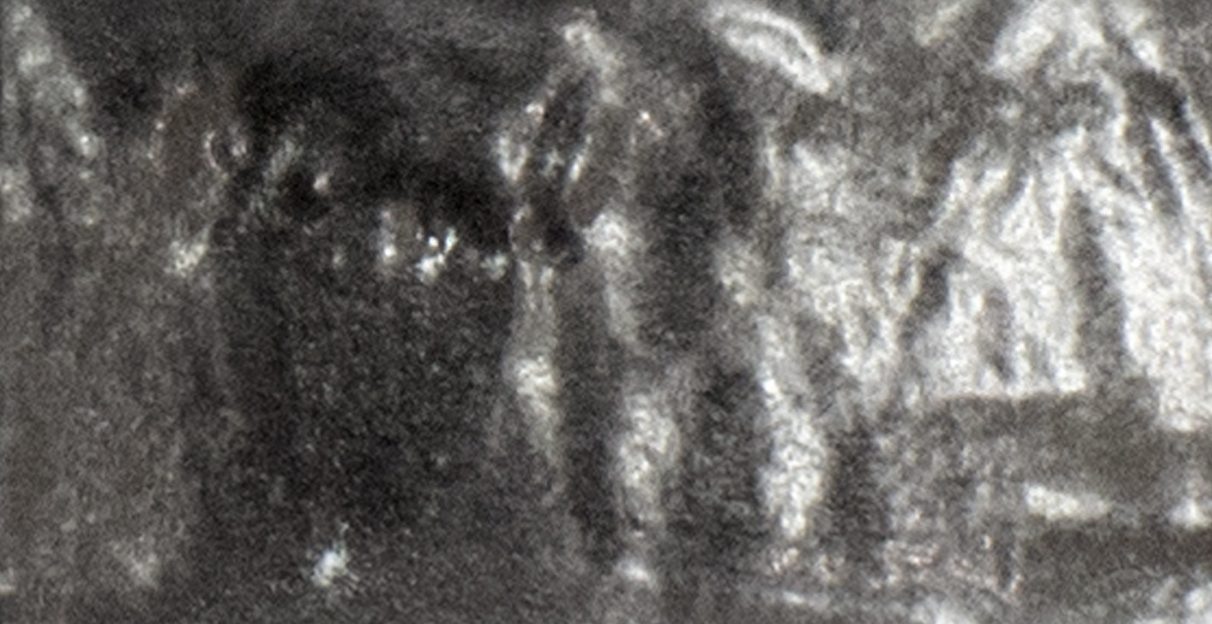 Zef Steel - Decorative Materials