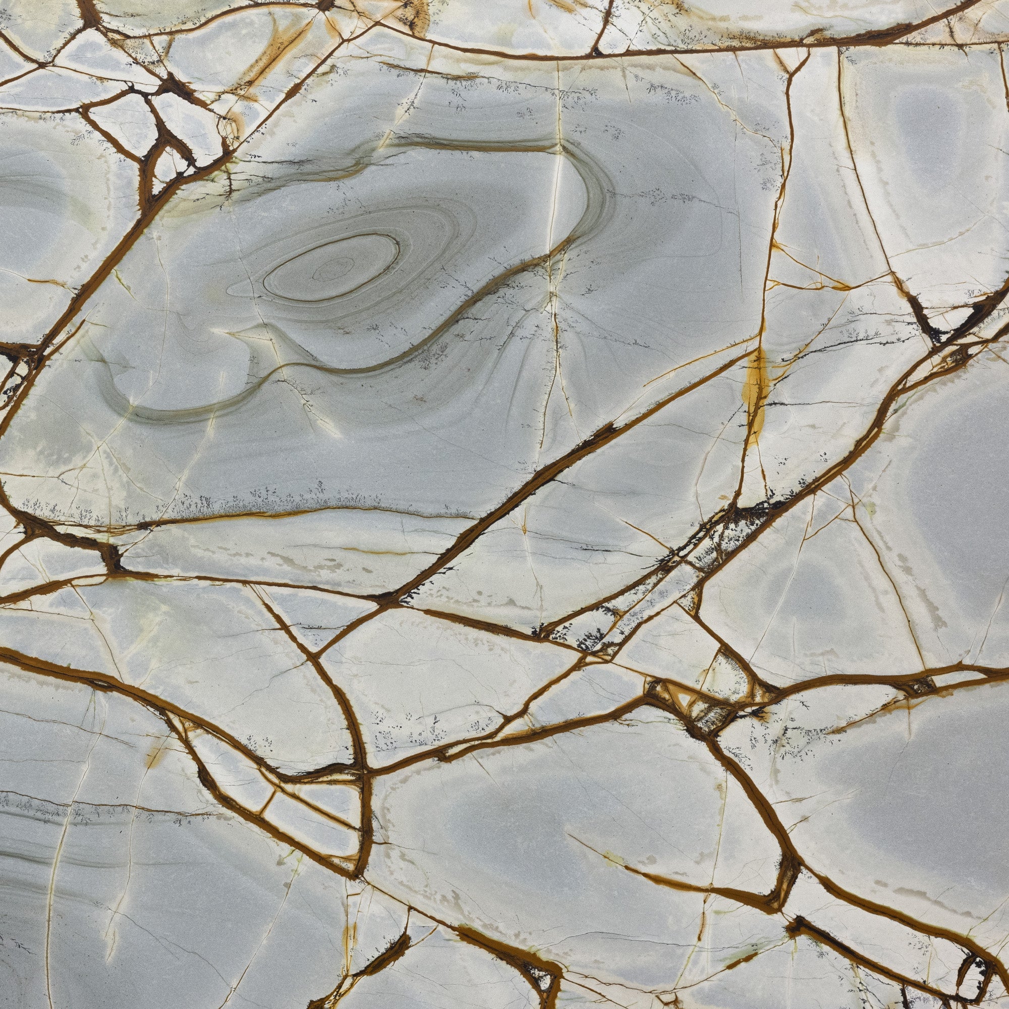 Blue Roma Quartzite Slab - Decorative Materials